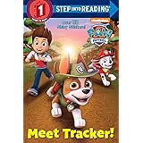 Paw Patrol Phonics: 12 Books in 1 (Step into Reading Phonics: Paw ...