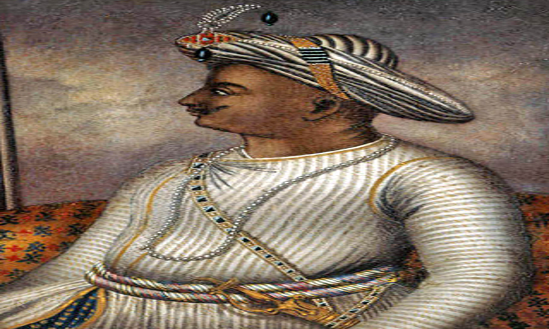 Tipu Sultan The Tiger Story : Amazon.it: App e Giochi