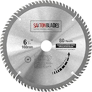 Saxton TCT Circular Wood Saw Blade 160mm x 20mm x 80t for Festool TS55 ...