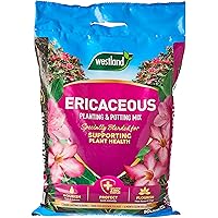 Westland 11400006 Ericaceous Compost, Pink : Amazon.co.uk: Garden