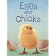 Eggs and Chicks (Beginners) : Patchett, Fiona, Wray, Zoe, Kushii ...