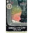 Small in the City: Amazon.co.uk: Smith, Sydney, Smith, Sydney ...