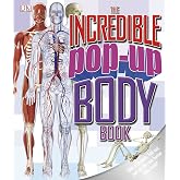 Pop-up Facts: Human Body: Amazon.co.uk: Dungworth, Richard, Harris, Sue ...