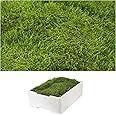 1 kist plaatmos ca. 2,00-2,50 kg gestoffeerde mos natuurgroen : Amazon ...