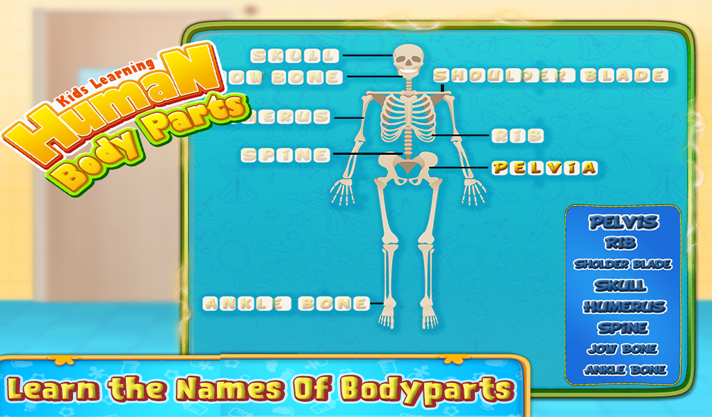 Kids Human Body Parts: Learning Game : Amazon.co.uk: Apps & Games