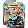 Monster Jam 2023 Spin Master 1:64 Diecast Truck Series 32 Everyday ...