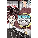 Demon Slayer: Kimetsu no Yaiba, Vol. 22 (Volume 22) : Gotouge, Koyoharu ...