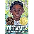 FREEWATER : Luqman-Dawson, Amina: Amazon.in: Books