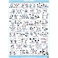 Weight Training Exercise Poster A2 Laminated - Bodybuilding Exercise ...