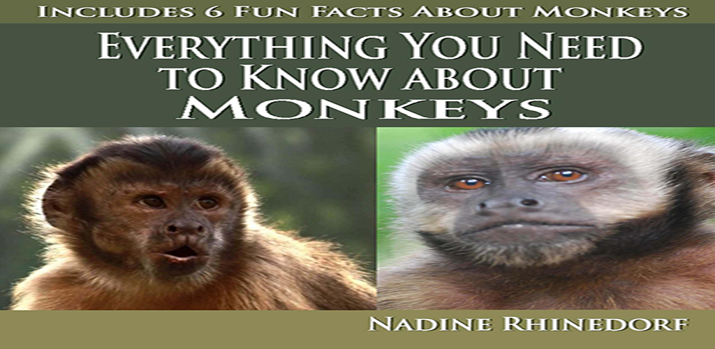 Everything You need To Know About Monkeys: Amazon.co.uk: Appstore for ...