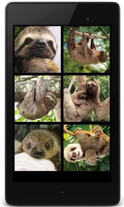 Sloth Sounds : Amazon.co.uk: Apps & Games