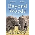 Buy BEYOND WORDS Book Online at Low Prices in India | BEYOND WORDS ...
