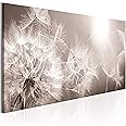 decomonkey Bilder Pusteblume 150x50 cm 1 Teilig Leinwandbilder Bild auf Leinwand Vlies Wandbild ...
