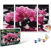 Schipper 609260681 Malen nach Zahlen, Wellness Oase - Bilder malen für Erwachsene, inklusive ...