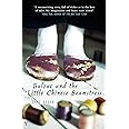 Buy Balzac and the Little Chinese Seamstress Book Online at Low Prices ...