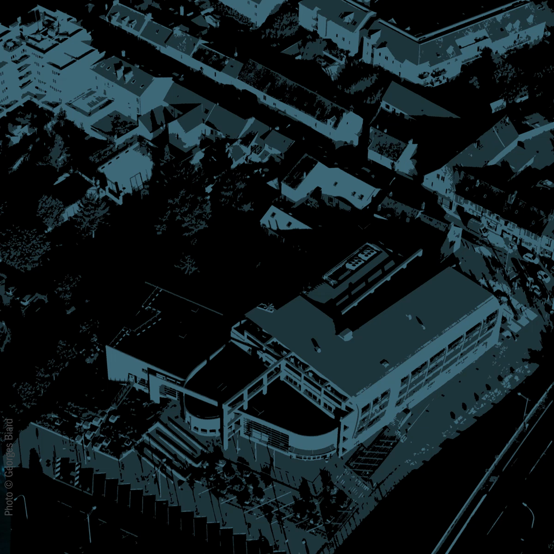 Amazon.fr - La Communauté - Bacqué, Raphaëlle, Chemin, Ariane - Livres