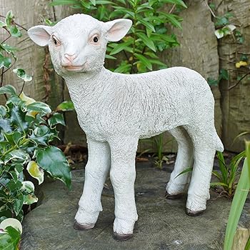 SHEEP GARDEN ORNAMENT: Amazon.co.uk: Garden & Outdoors
