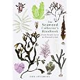 The Seaweed Collector's Handbook: From Purple Laver to Peacock’s Tail ...