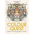 Colour Quest®: Extreme Colouring Challenges to Complete: 1: Amazon.co ...
