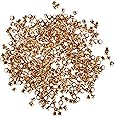 Rexel Natural Brass Finish Eyelets, For up to 30 Sheets, 4.7 mm ...
