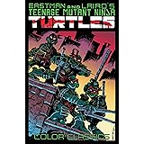 Teenage Mutant Ninja Turtles Color Classics Vol. 2 (Teenage Mutant ...