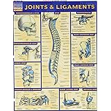 Japanese Grammar (Quick Study Academic) : Uo, Sumiko, BarCharts ...