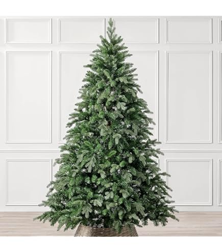 Everlands Nobilis Fir Christmas Tree Norway Spruce