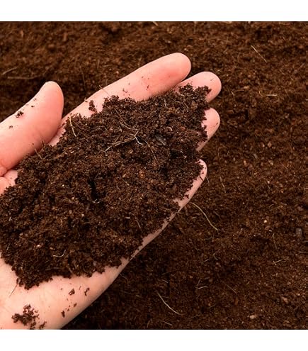 Potting Soil Indoor Plants Terrarium Soil In Sturdy Bucket Eco Friendly ...