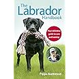 The Labrador Handbook: The definitive guide to training and caring for ...