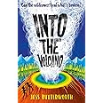 Into the Volcano: Amazon.co.uk: Butterworth, Jess: 9781510108516: Books