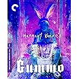 Gummo (Criterion Collection) UK Only [Blu-ray]: Amazon.co.uk: Nick ...