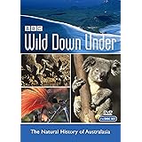 Wild South America: Andes to Amazon [Reino Unido] [DVD]: Amazon.es: Andes to Amazon: Películas y TV