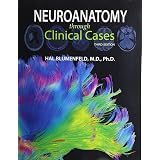 Electromyography and Neuromuscular Disorders: Clinical ...