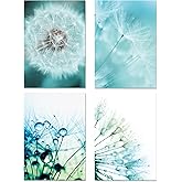 Amazon.de: Poster 4er-Set PUSTEBLUMEN MONOCHROM, ungerahmt DIN A4, Kunstdruck, Poster ...