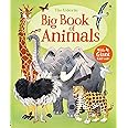 Big Book of Animals (Big Books): 1 : Hazel Maskell, Fabiano Fiorin ...