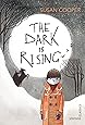 The Dark is Rising (Vintage Childrens Classics): Amazon.co.uk: Cooper ...