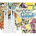 Antoni Gaudi Colouring Book (Coloring Books) : n/a: Amazon.co.uk: Books