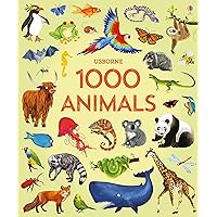 1000 Things that go (1000 Pictures): Amazon.co.uk: Taplin, Sam ...