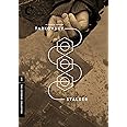 Criterion Collection: Stalker (2 Dvd) [Edizione: Stati Uniti] [Italia ...