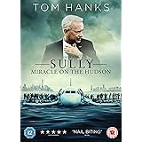 Sully: Miracle On The Hudson [DVD] [2016] [2017]: Amazon.co.uk: Tom ...