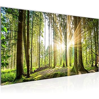 Amazon.de: Sonnenstrahlen Waldweg, Bild auf Leinwand, XXL riesige Bilder fertig gerahmt mit
