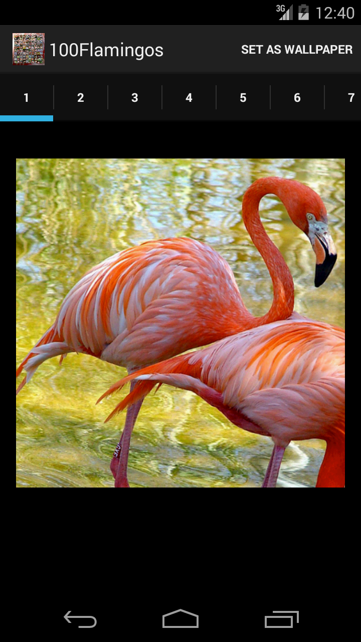Flamingo Wallpaper App : Amazon.de: Apps & Spiele