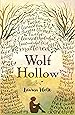 Wolf Hollow: Amazon.co.uk: Wolk, Lauren: 9780552574297: Books