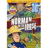 Fireman Sam - Sticky Situation [DVD] [2009]: Amazon.co.uk: Steven ...