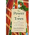 The Power of Trees: How Ancient Forests Can Save Us if We Let Them ...