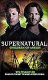 Supernatural - Cold Fire: Amazon.de: Passarella, John: Fremdsprachige ...