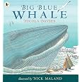 Big Blue Whale: Amazon.co.uk: Davies, Nicola, Maland, Nick ...