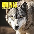 Wolves 2024 Calendar : Amazon.co.uk: Stationery & Office Supplies