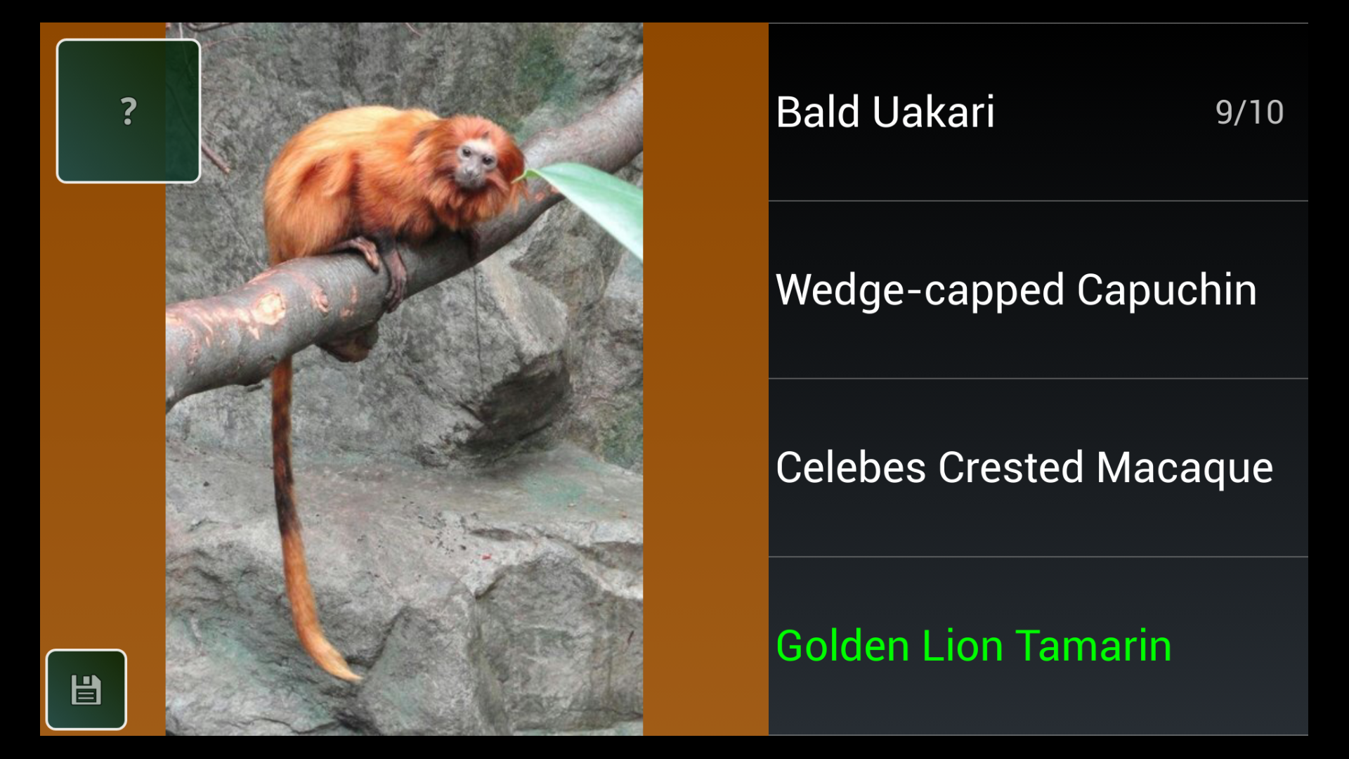 Monkey Species Trivia Quiz: Amazon.co.uk: Appstore for Android