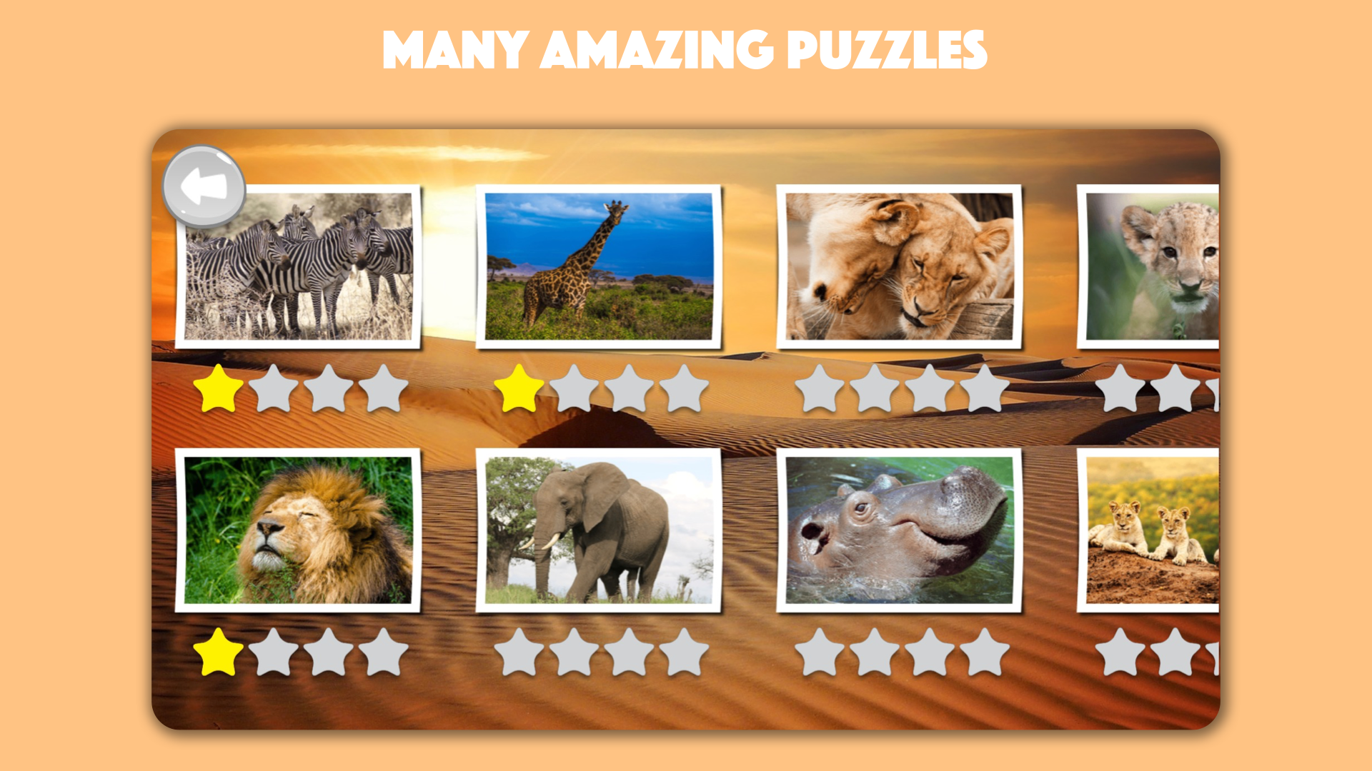 African Wild Life Animals Photo Jigsaw Puzzles - Educational and good ...